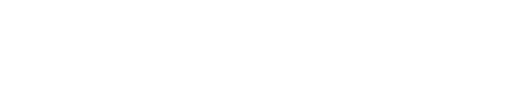 New England Society for Vascular Surgery (NESVS)